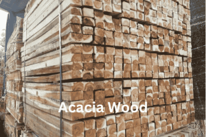 Acacia Woods: Uses, Durability, Pros & Cons